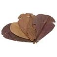 Fluker's Catappa Leaves for Hermit Crabs (Pack of 5) - Walmart.com