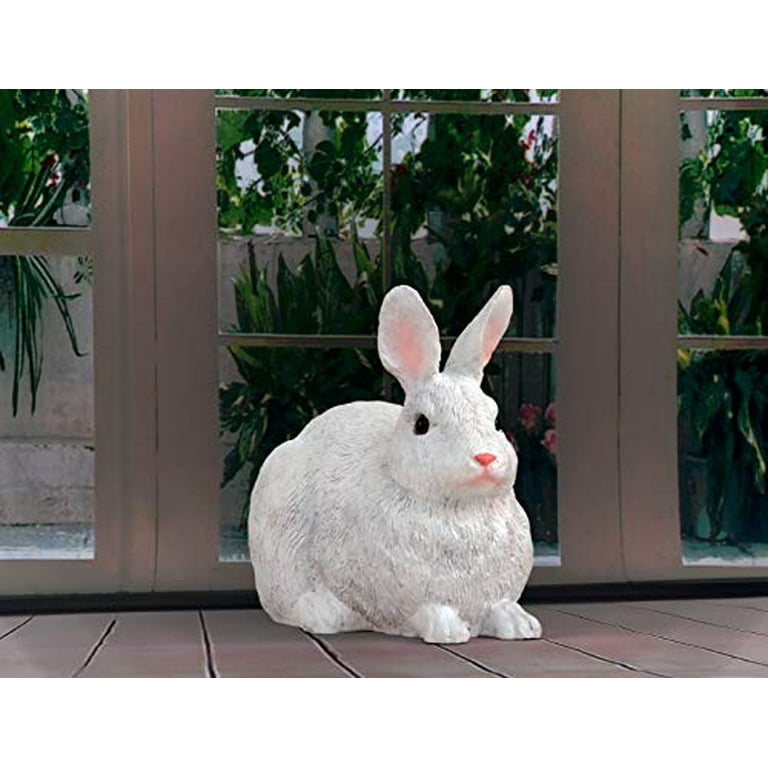 White Rabbit In Garden