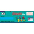 Scooby Doo Fruit Flavored Snacks Treat Pouches Value Pack 22 Ct