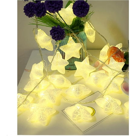 Color Changing Star String Lights, 10 FT 20 LED Twinkle Lights Warm ...
