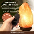The Body Source Himalayan Salt Lamp | 6-8 in (4-7 lb) | Natural Salt ...