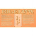 Bigelow Tea Turmeric Herbal Tea Ginger Peach 18 Tea Bags - Walmart.com