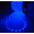 Walcut 150Ft 2 Wire LED Rope Lights, Blue Lights with Clear PVC Jacket ...