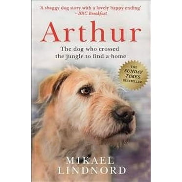Now the Film Arthur the King Arthur: The Dog Who Crossed the Jungle to ...