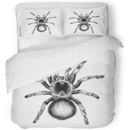 HATIART 3 Piece Bedding Set Drawing Tarantula Spider Vintage Engraving ...