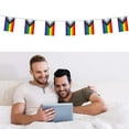 Rainbow Flag Lgbt Pride String Flag Banners For Pansexuality