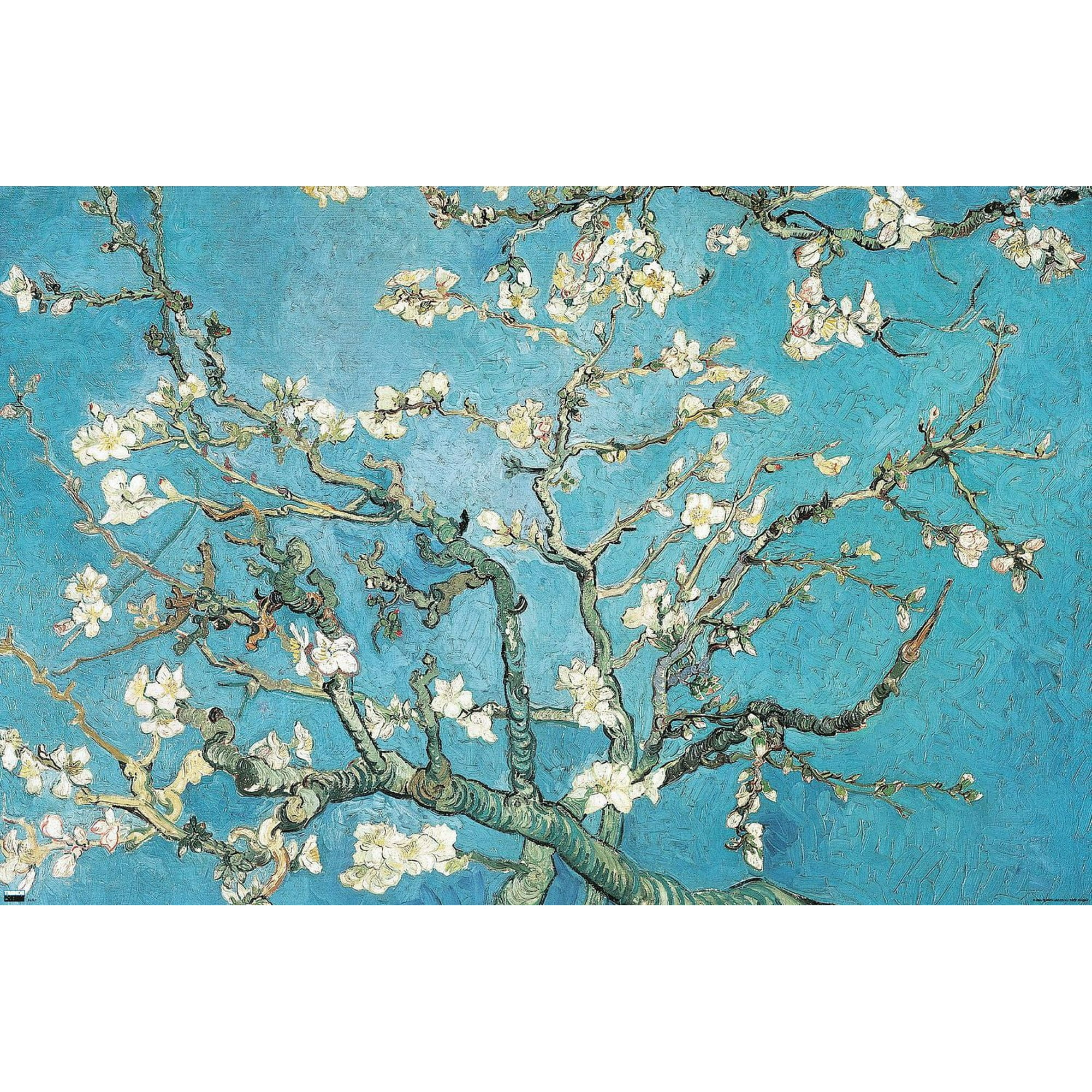 Click here for Trends International Almond Branches In Bloom By V... prices