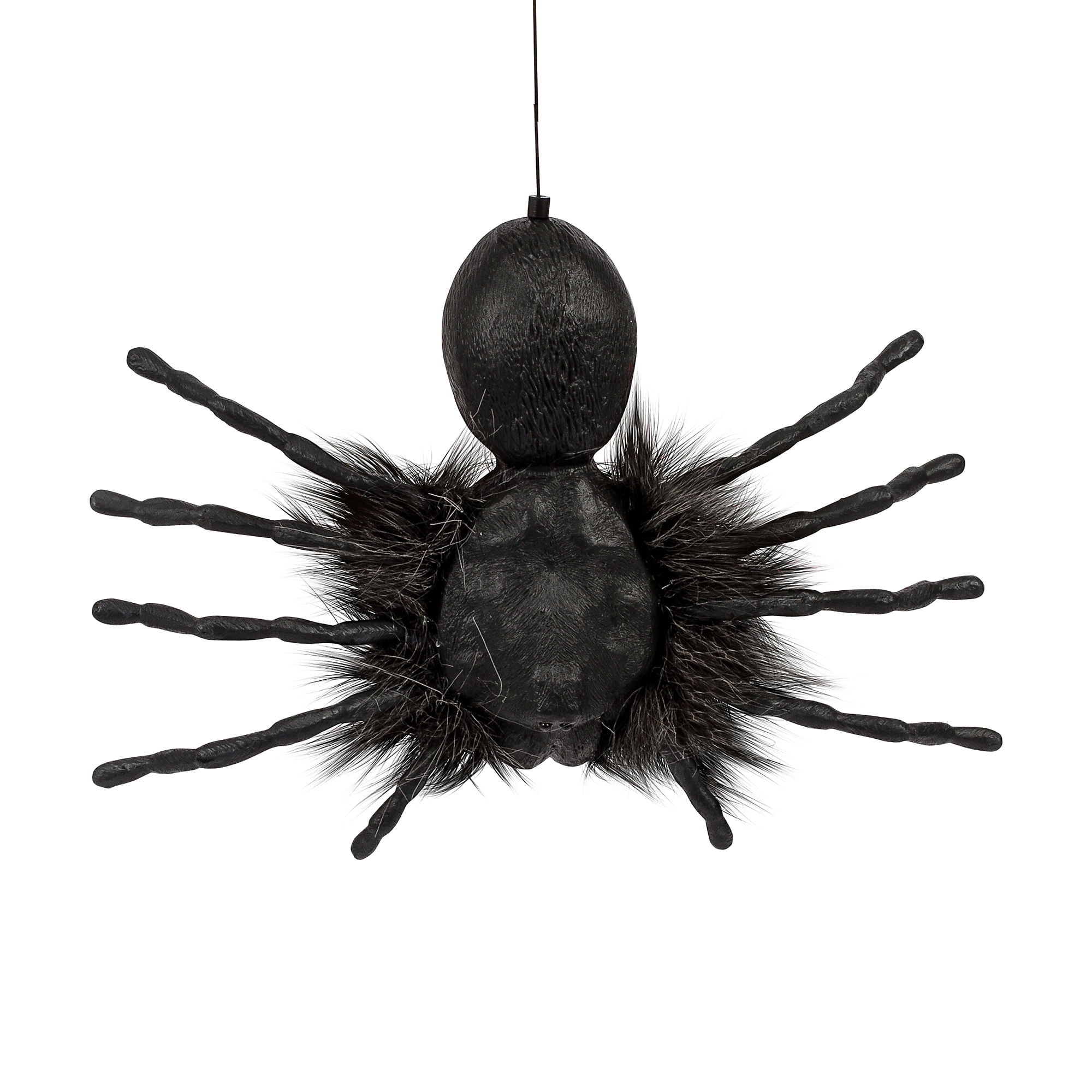 Creepy Dropping Spider, Sound Falls and Crawls Back Up, Measures 9 ...
