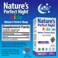 Nature's Perfect Night Kids Melatonin 1mg Chewables, Natural Grape ...