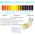 pH Test Strips, 5 Pack Full Range 1-14 Litmus Paper pH Soap Making ...
