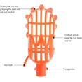 Fruit Picker 20x10.5cm Plastic Gardening Basket Catcher Bayberry Picker ...