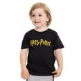 Harry Potter Toddler Boy Sublimated Zip Up Hoodie and T-Shirt Set, Sizes 2T-5T - Walmart.com