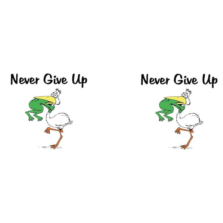Never Give Up Frog Cartoon