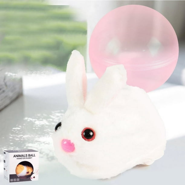 POINTERTECK Hamster Ball Electric Toy 360 Automatic Rotation Running ...