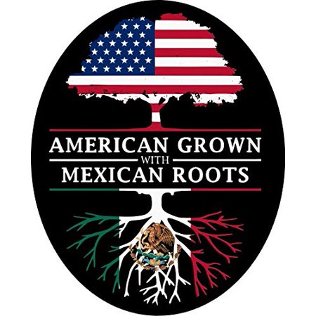 2 pcs American Grown with Mexican Roots, 3 inches | Mexican American ...