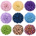 Midnight Blue Hostas for Planting-(Non-Artificial)-Easy to Grow & Quick ...