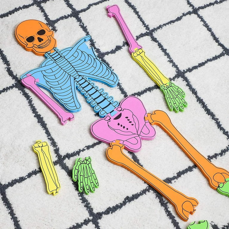 Skeleton Puzzle