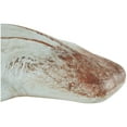 18, 13"H Light Blue Polystone Distressed Carved Shark Sculpture with ...