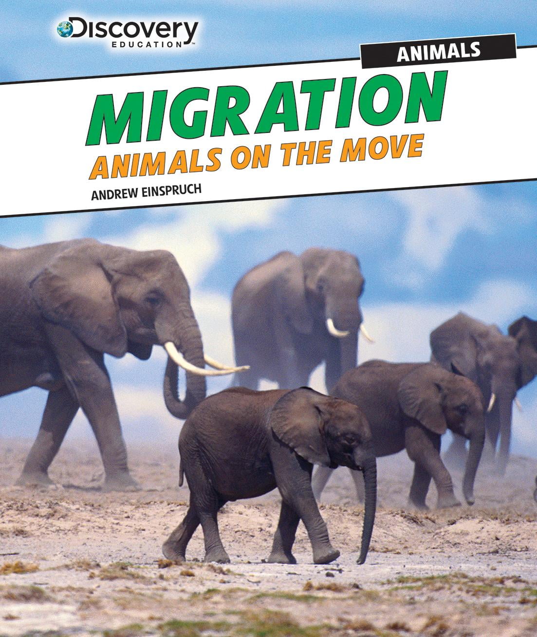 Discovery Education: Animals: Migration : Animals on the Move ...