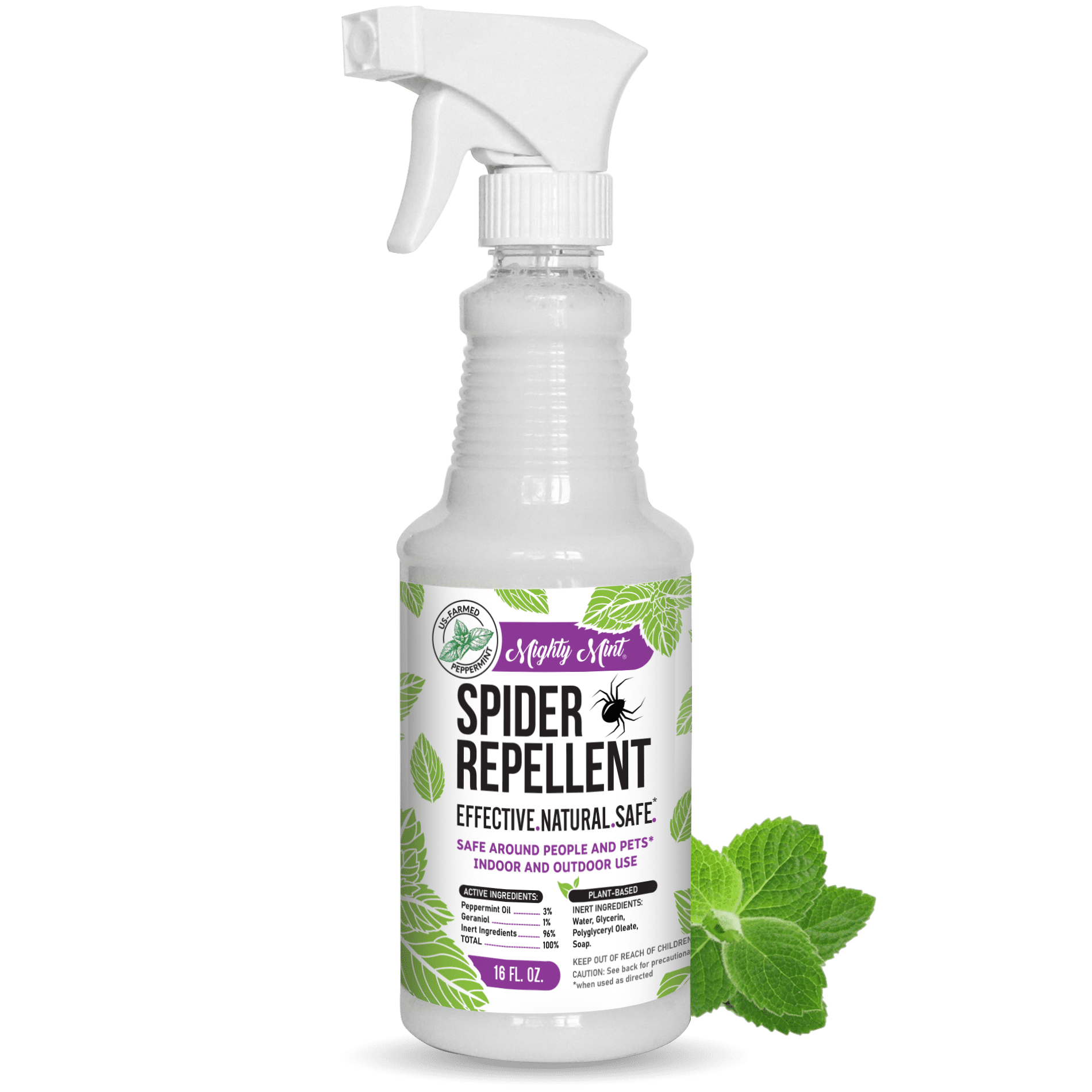 Mighty Mint Spider Repellent & Killer Peppermint Oil Spray - 16oz ...