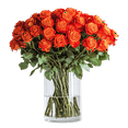 150 Long Stem Assorted Orange Roses- Beautiful Fresh Cut Flowers ...