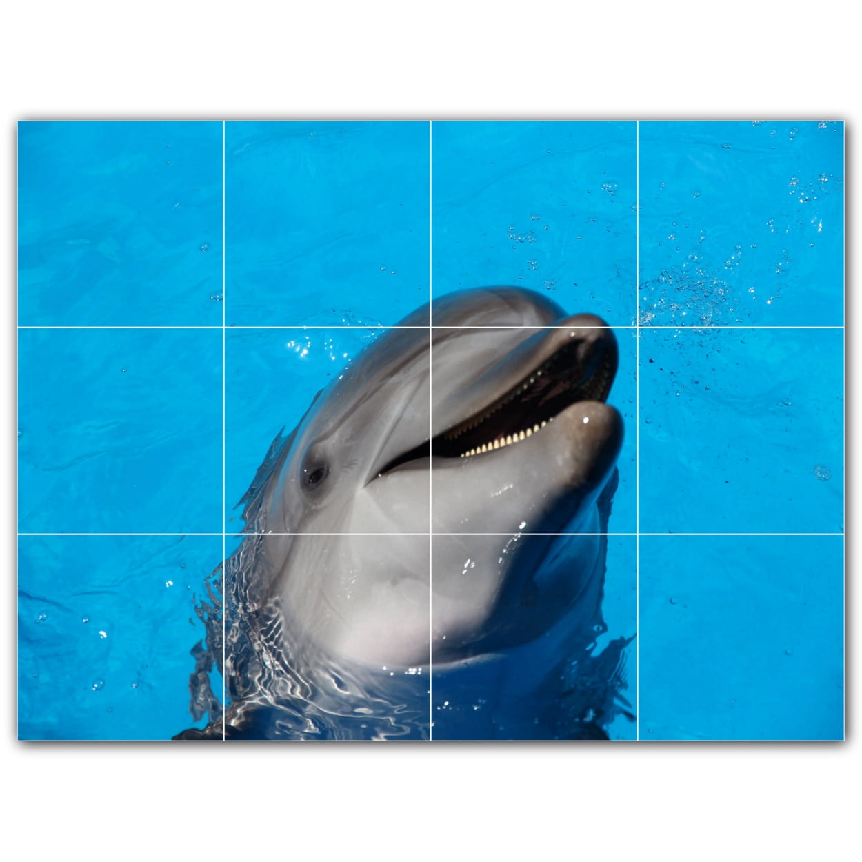 Picture-Tiles.com: Dolphin Ceramic Tile Wall Mural WAL500497-43M. 24"W ...