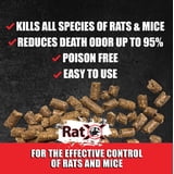 RatX, Pet Friendly All-Natural Rodent Poison, Indoor/Outdoor Rat and ...