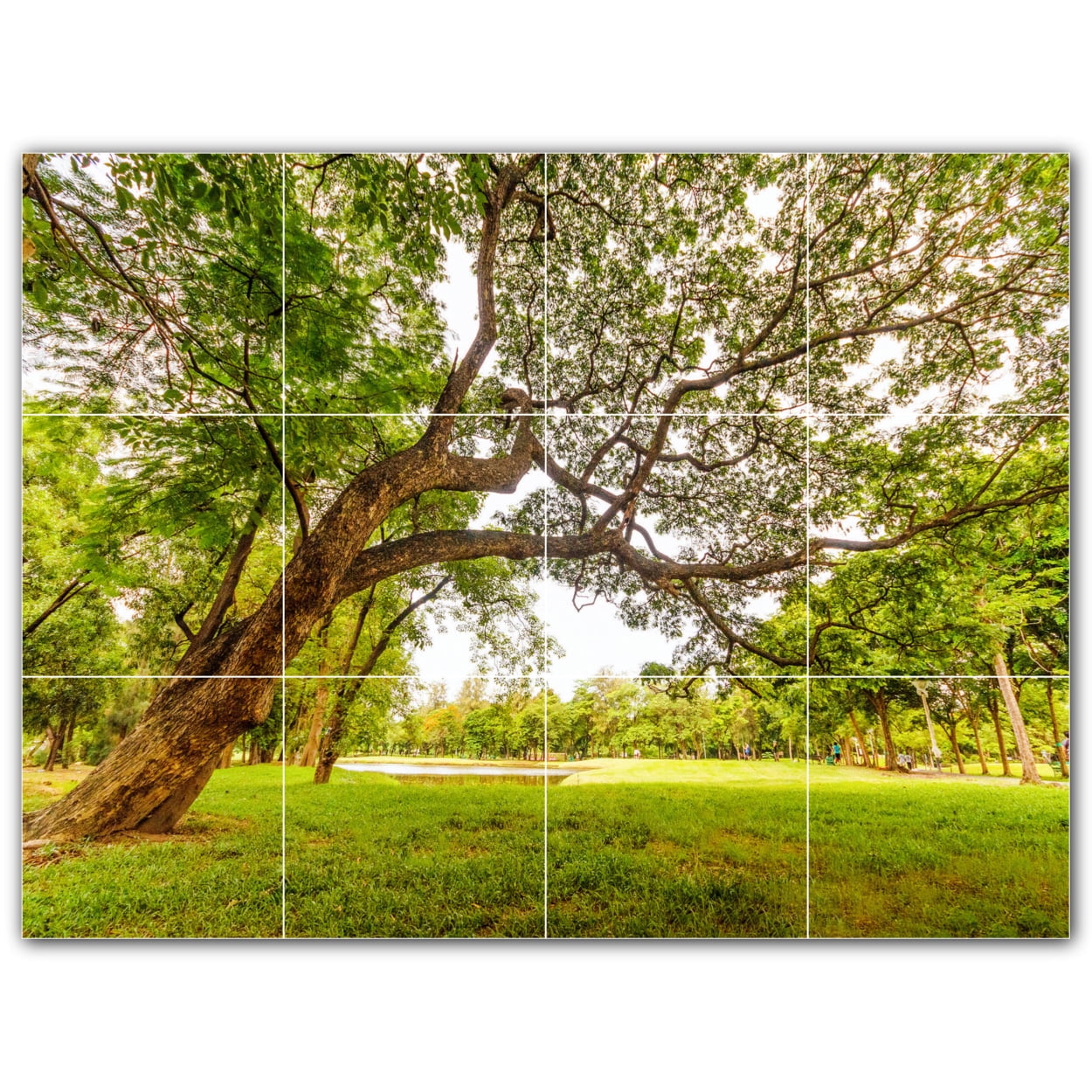 Picture-Tiles.com: Trees Ceramic Tile Wall Mural WAL501040-43M. 24"W x ...