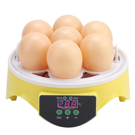 Automatic Incubator, Round Head Design Digital Display Incubator ...