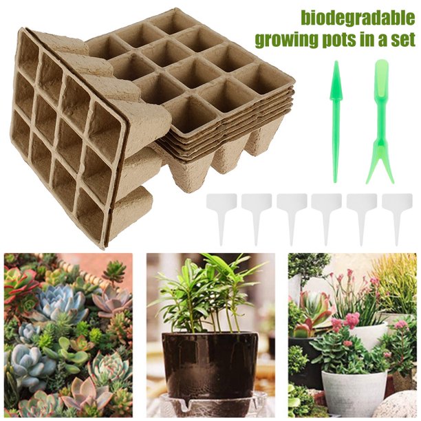 Biodegradable Peat Pots Succulent Planter Nursery Pots 120 Pack Plant ...