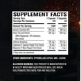 Burn-XT Thermogenic Fat Burner w/ Capsimax - Weight Loss Supplement ...