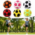 Dragonfly Footbag,32-Panel Hacky Sack Spiral Pellet Filled Footbag Ball ...