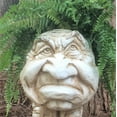 Homestyles Antique White Grumpy the Muggly Face Humorous Statue Planter ...