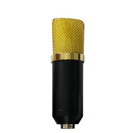 C-800A Professional Studio Broadcasting Recording Set Condenser ...