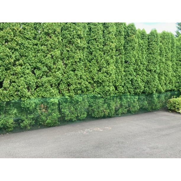 Deer Terrent Landscape Netting, Bulk Rolls, Deer Net , Garden Net,Plant ...