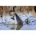 Higdon Pulsator PRO Canada Goose Decoy Motion Goose Decoy - Walmart.com