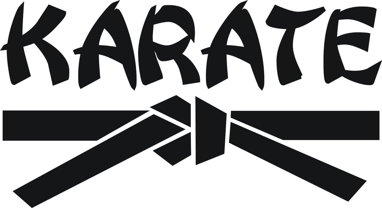 Karate Vinyl Decal Sticker|Cars Trucks Vans Walls Laptops Cups|Black|5. ...