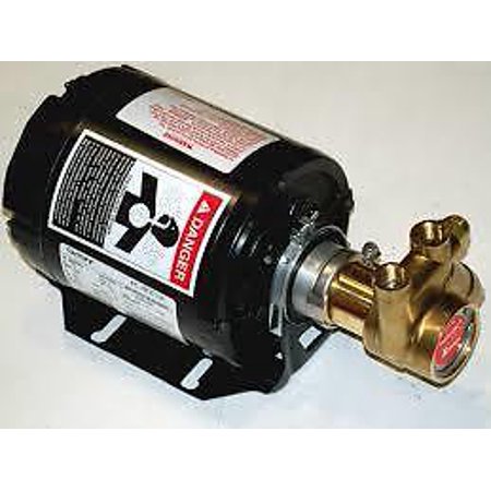 Motor 1/3 HP with Procon pump 100 GPH 3/8" outlet - Walmart.com