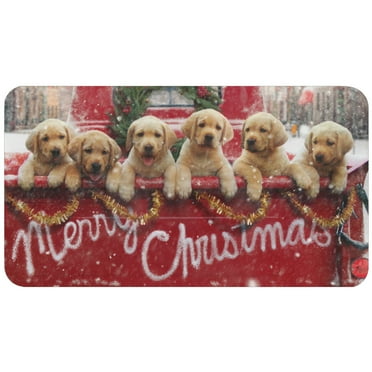 Avanti Press Bulldog Reindeer Holiday Cards with Envelopes, Box of 10 ...