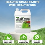 Liquid Lawn Dethatcher, Aerator and Soil Conditioner, 32 oz, Safe for ...