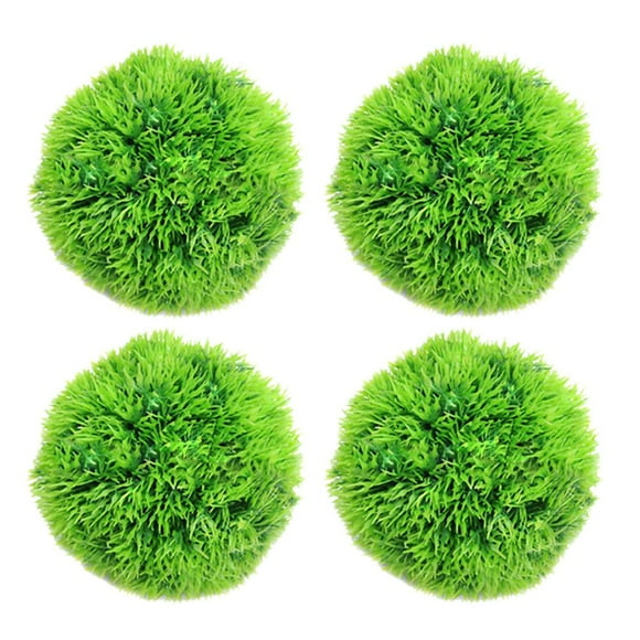 Live Marimo Moss Ball