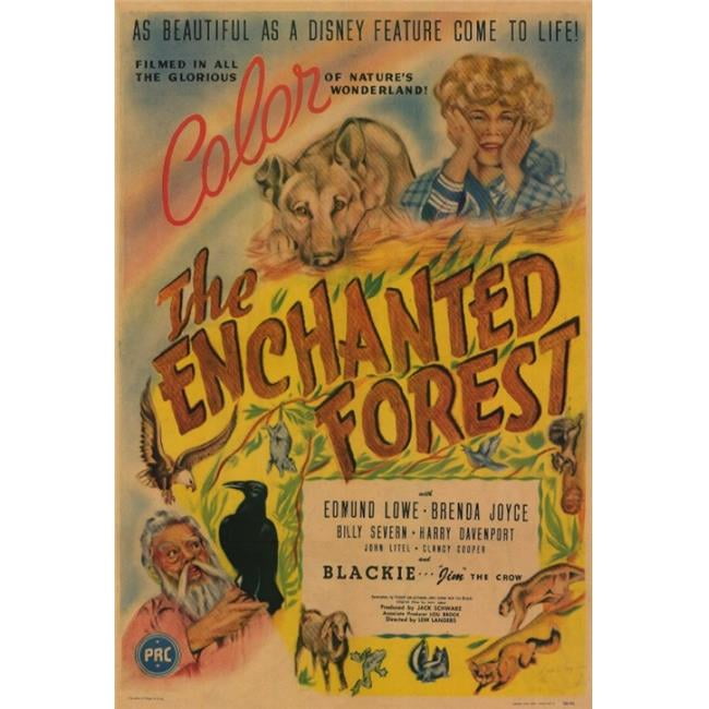 Posterazzi MOVIH7644 The Enchanted Forest Movie Poster - 27 x 40 in ...