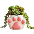 CaraMart Modern Cat Paw Shaped Flower Pot Decorative Vase for Home ...
