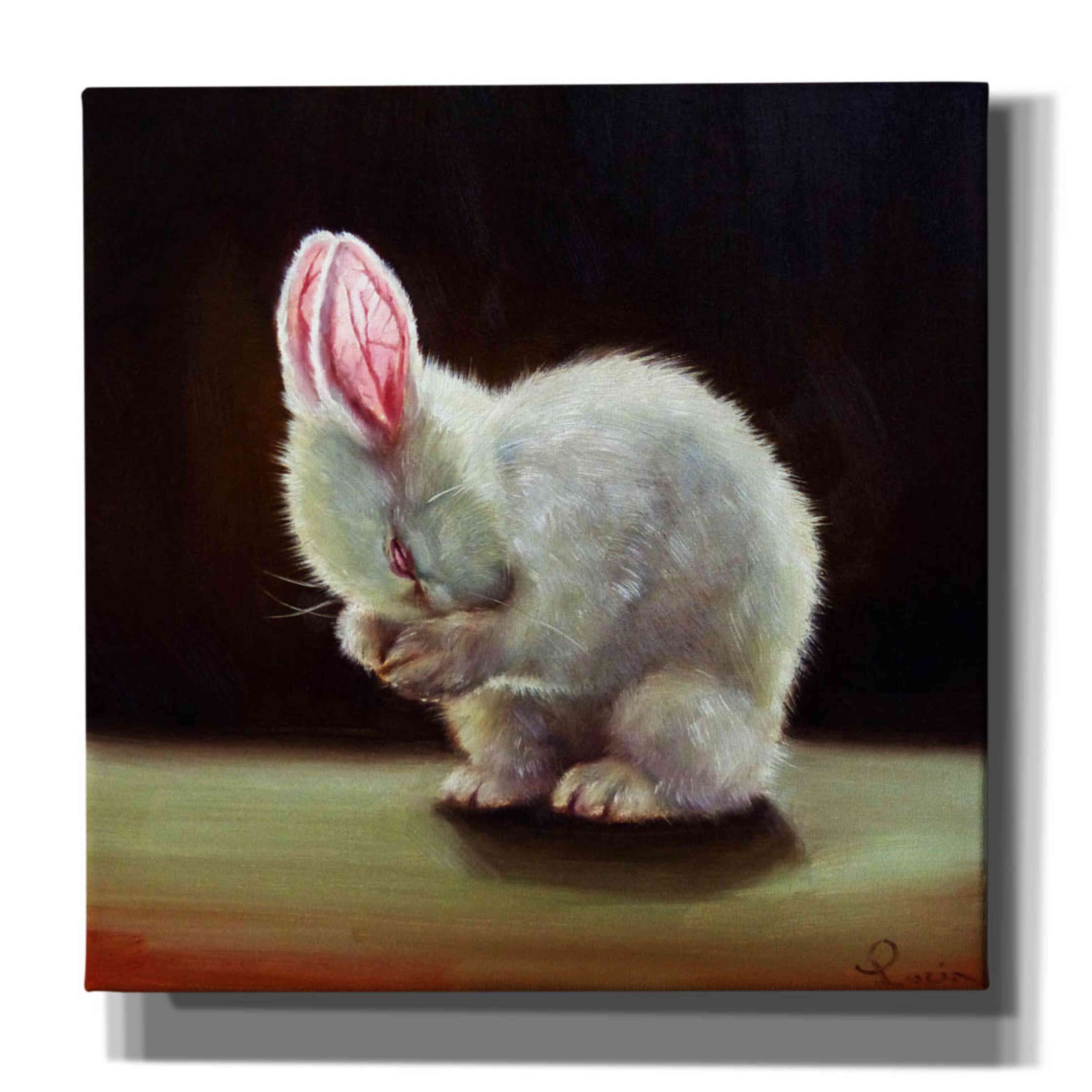 Epic Graffiti 'More Carrot Please' by Lucia Heffernan, 18"x18 ...
