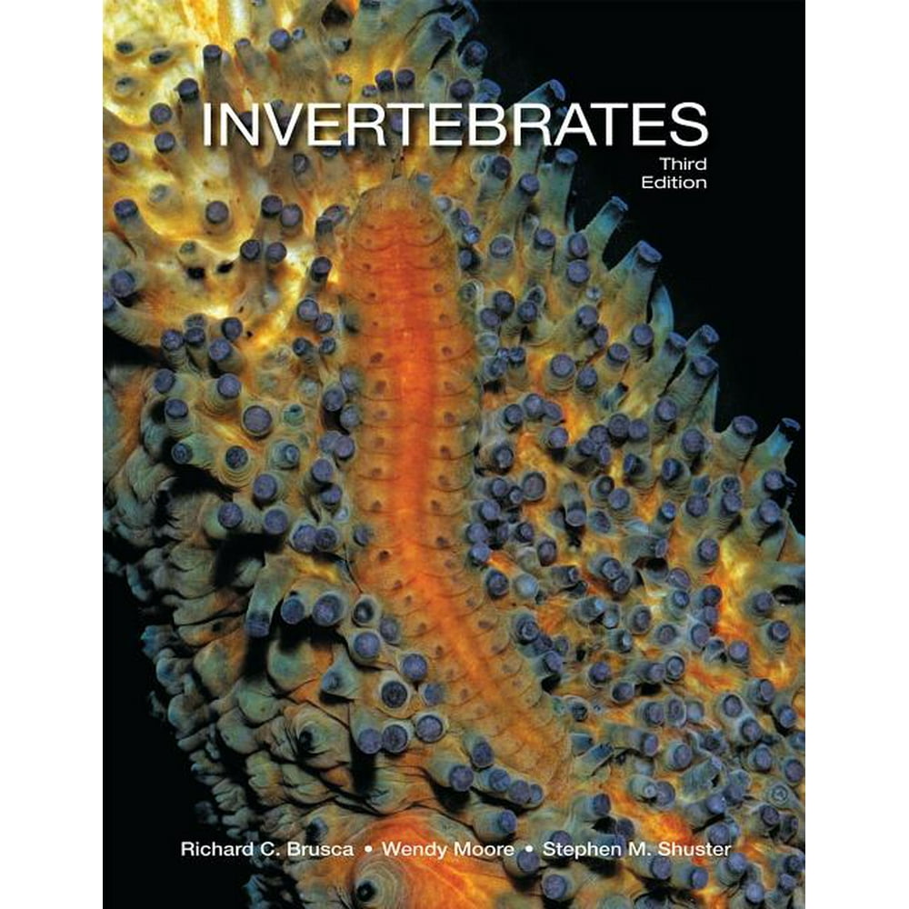 Invertebrates (Edition 3) (Hardcover) - Walmart.com - Walmart.com