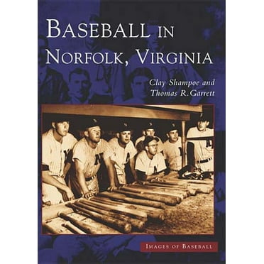 Ballparks : a journey through the fields of the past, present, and ...