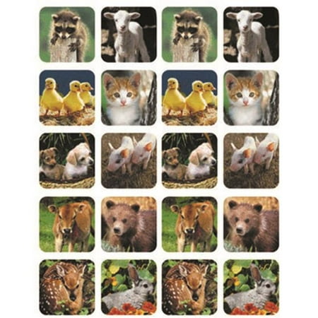 Baby Animals Real Photos Theme Stickers | Walmart Canada