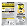 Raid Max Foaming Wasp & Hornet Killer, 13 oz - Walmart.com