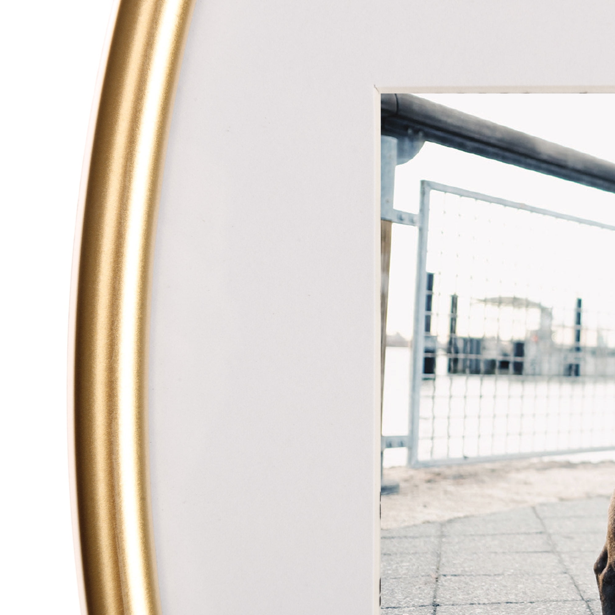 Buy Gallery Solutions Modern Round Collage Picture Frame Sets, Gold ...