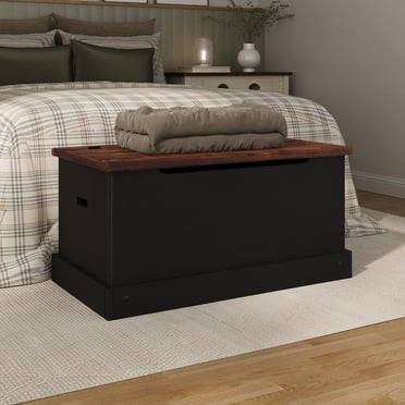 COZAYH Vintage Large Storage Trunk, Matte Black Chest Cabinet with ...